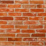 CEGŁY Płytka Dekoracyjna Cut Brick Premium 25x6 Maxstone